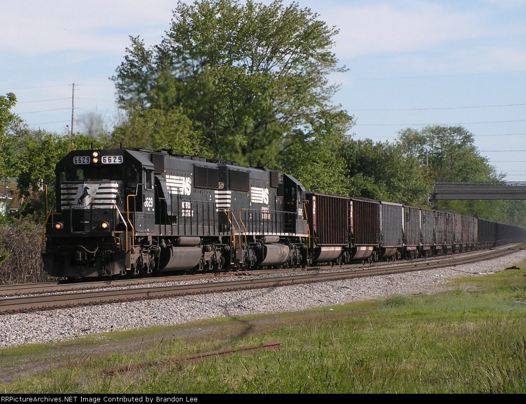 NS 6629